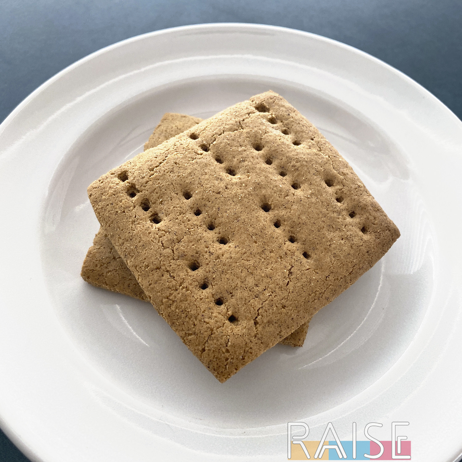 Grain Free, Corn Free Graham Cracker Recipe (GF, V, Top 9 Free) RAISE